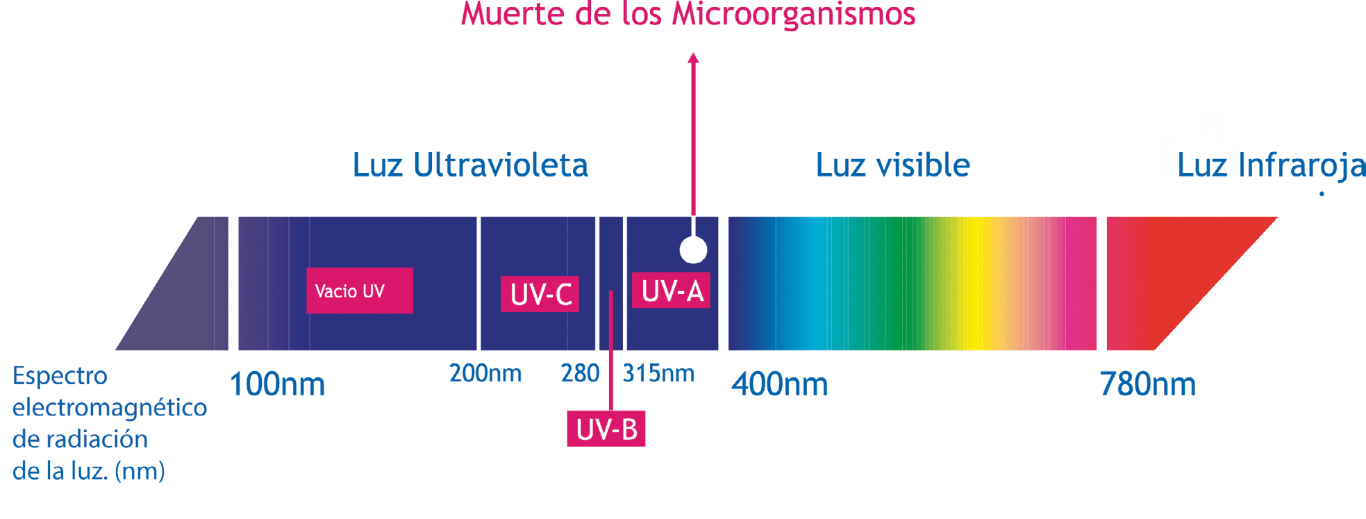 CTX_DET_UV_espectro luz – Núcleo Médico Saludable